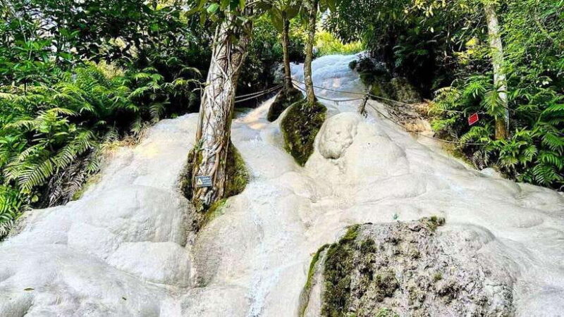 Chiang Mai: Sticky Waterfall, Chet Si Fountain Park Transfer - Authentic Experiences and Honest Feedback