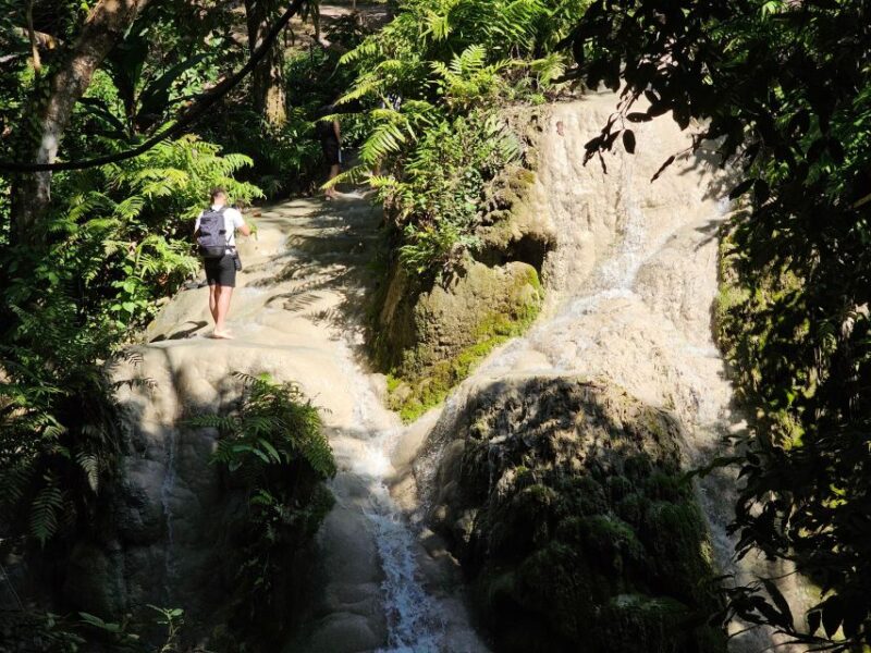 Chiang Mai: Sticky Waterfall Half-Day Tour & Hotel Transfers - What Makes This Tour Stand Out