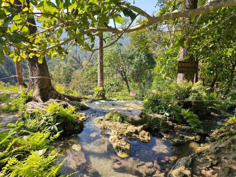 Chiang Mai: Sticky Waterfall Half-Day Tour & Hotel Transfers - Considerations and Tips