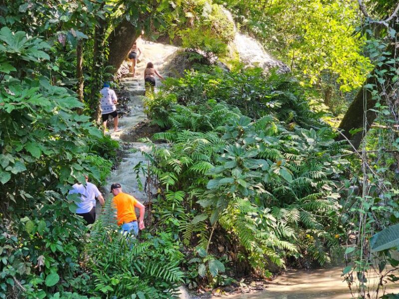 Chiang Mai: Sticky Waterfall Half-Day Tour & Hotel Transfers - Final Thoughts