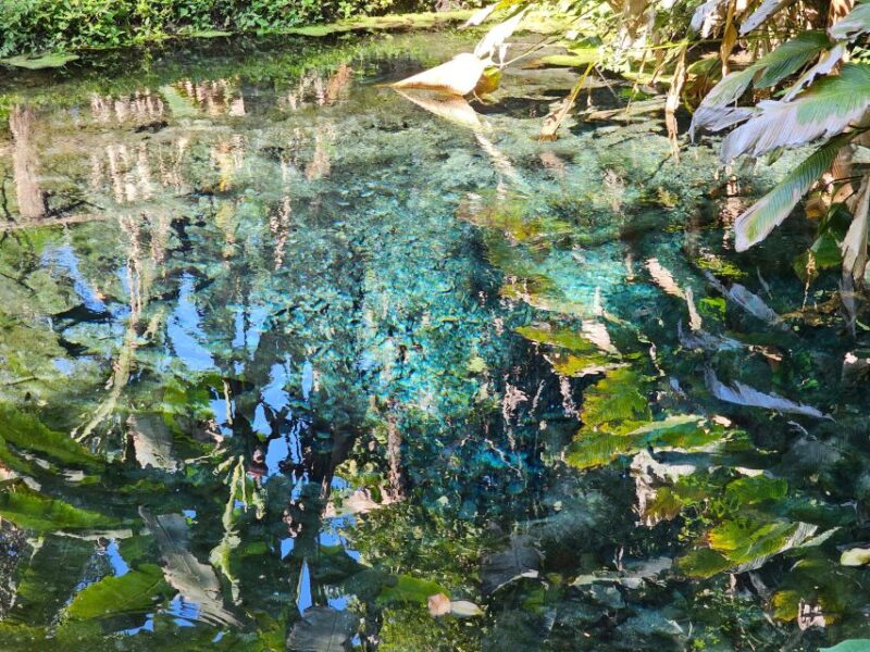 Chiang Mai: Sticky Waterfall Half-Day Tour & Hotel Transfers - FAQs