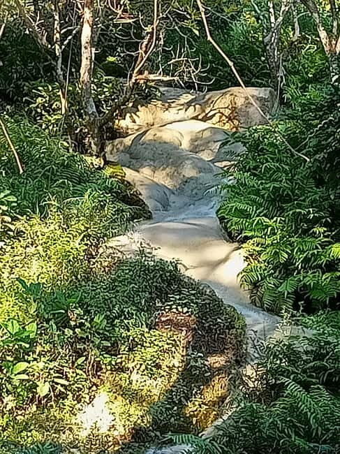 Chiang Mai: Sticky Waterfall Half day tour - What is the tour all about?