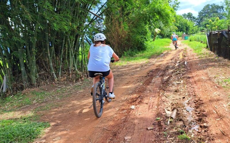 Chiang Mai: Sticky waterfall, lake kayak and cycling tour - Who Will Love This Tour?