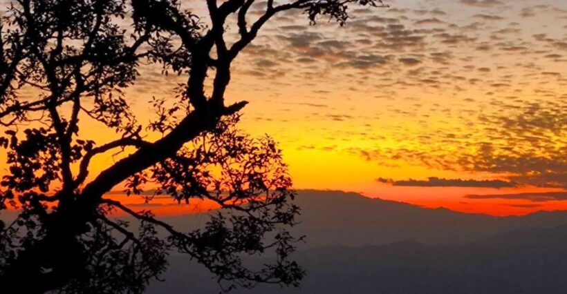 Chiang Mai Sunset Point,Wat Pha Lat,Wat Doi Suthep,Wat Umong - Key Points