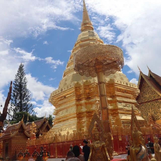 Chiang Mai Sunset Point,Wat Pha Lat,Wat Doi Suthep,Wat Umong - Unpacking the Day: A detailed look at the itinerary