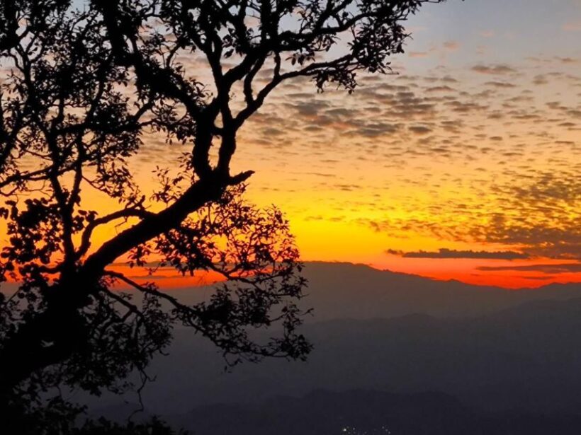 Chiang Mai Sunset Point,Wat Pha Lat,Wat Doi Suthep,Wat Umong - The Sum Up: Who will love this tour?