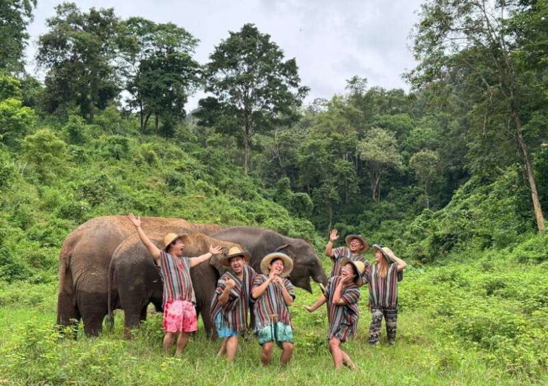 Chiang Mai | TeeTee Elephant Home Elephant Care Half-Day - The Itinerary Breakdown