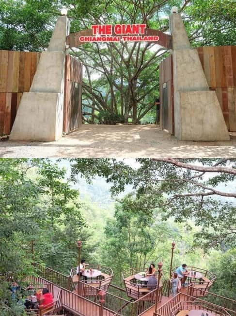 Chiang Mai: The Giant Café & Mae Kampong Village Day Trip - Who Should Consider This Tour?