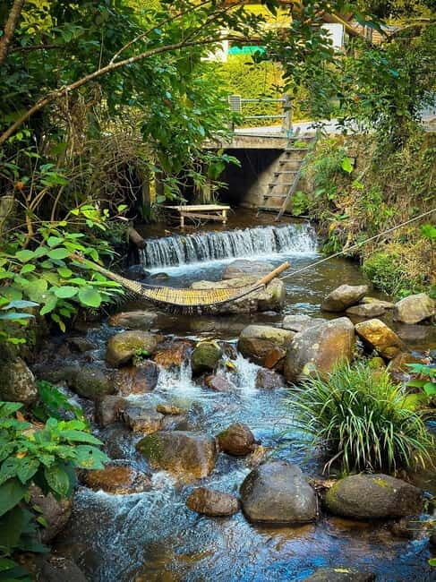 Chiang Mai: The Giant Café & Mae Kampong Village Day Trip - The Sum Up