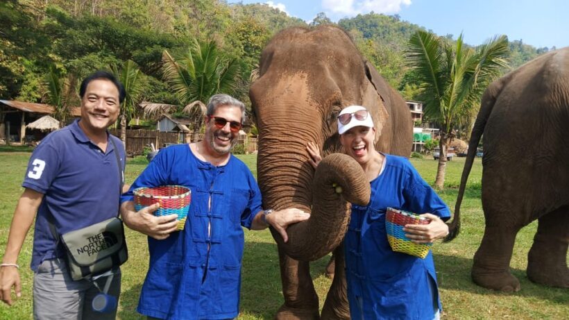 Chiang Mai Tour: Bua Tong Sticky Waterfall & Elephant Care - Chiang Mai Tour: Bua Tong Sticky Waterfall & Elephant Care — An Authentic Day of Nature and Compassion