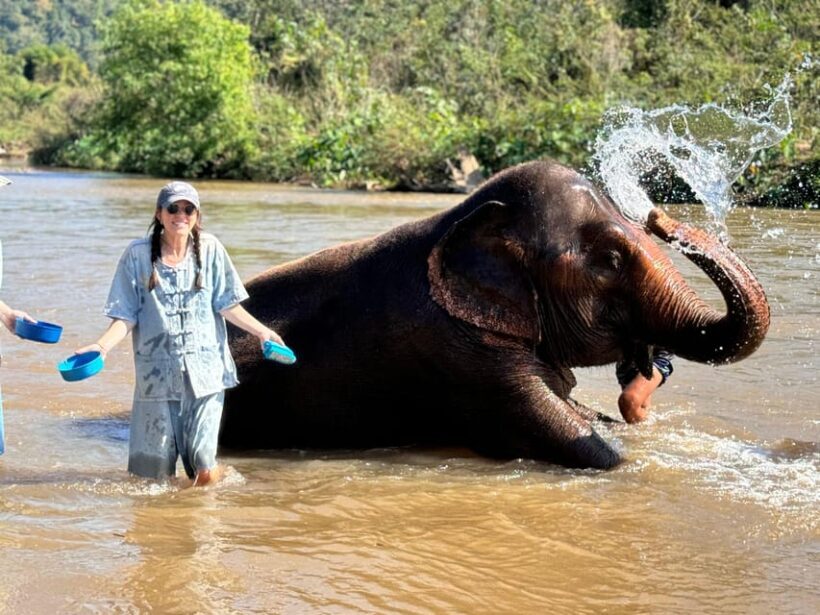 Chiang Mai Tour: Bua Tong Sticky Waterfall & Elephant Care - Who is This Tour Best For?