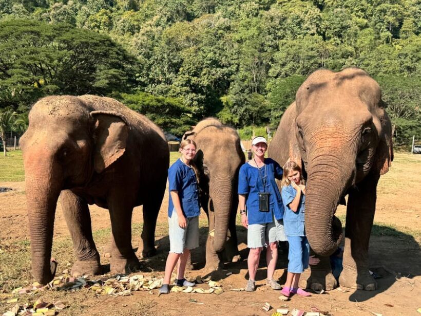 Chiang Mai Tour: Bua Tong Sticky Waterfall & Elephant Care - Frequently Asked Questions (FAQs)
