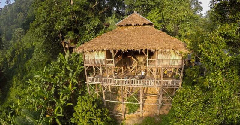 Chiang Mai: Tree House Stay & Jungle Zip-Lining - What Makes This Tour Special?