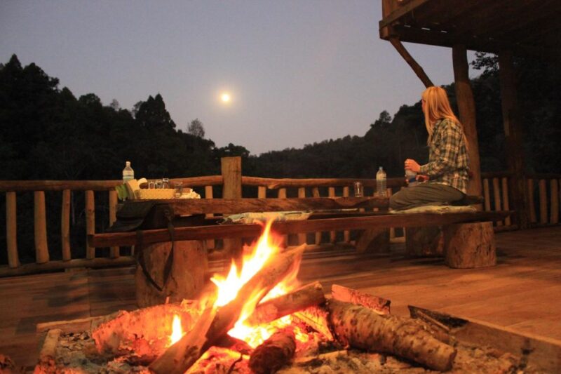 Chiang Mai: Tree House Stay & Jungle Zip-Lining - Authentic Guest Perspectives