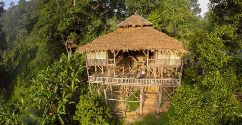 Chiang Mai: Tree House Stay & Jungle Zip-Lining - Who Should Consider This Tour?