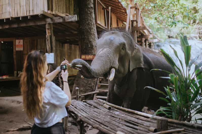 Chiang Mai: Two-day Temple of Elephants Sanctuary Tour - A Full Breakdown of the Tour Experience