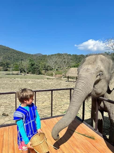 Chiang Mai: Two-day Temple of Elephants Sanctuary Tour - Pricing and Value