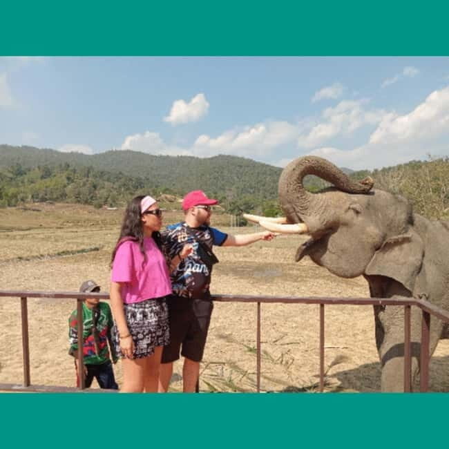 Chiang Mai: Two-day Temple of Elephants Sanctuary Tour - Final Thoughts