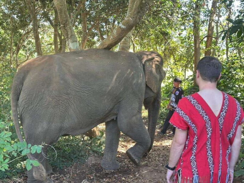Chiang Mai Untouched Elephant: Nature Walk & Waterfall Trek - Authentic, Respectful, and Careful