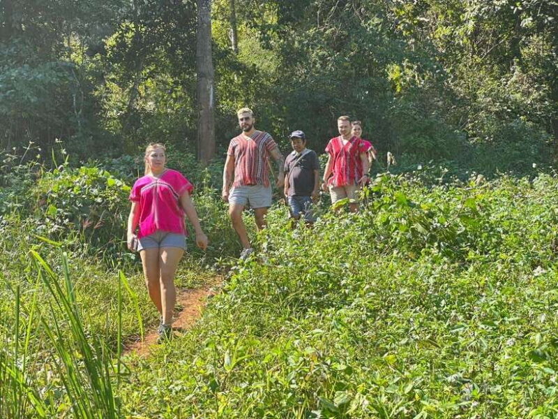 Chiang Mai Untouched Elephant: Nature Walk & Waterfall Trek - FAQ