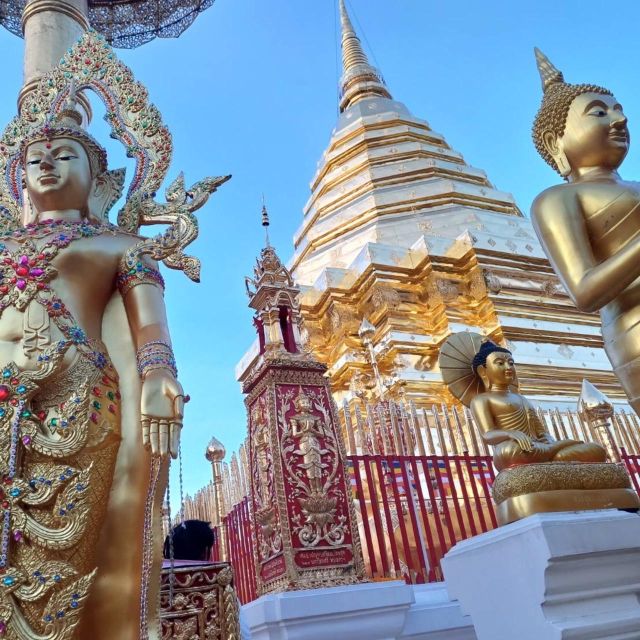 Chiang Mai: Wat Pha Lat & Wat Phra That Doi Suthep Tour - Key Points