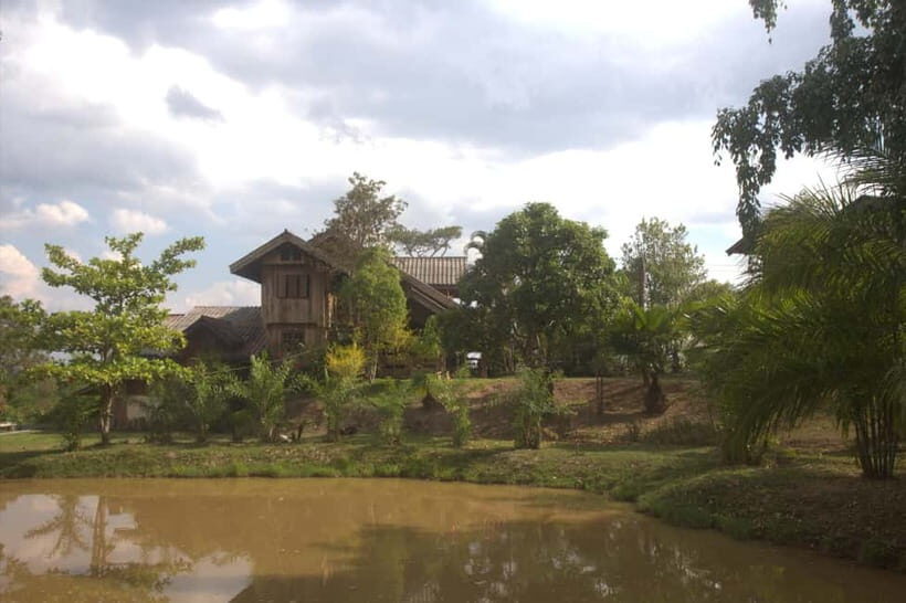 Chiang Mai: Wild Gibbon Encounters with Karen Homestay - Key Points