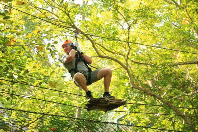 Chiang Mai: Zipline & High Rope Park with Lunch & Transfer - Introduction