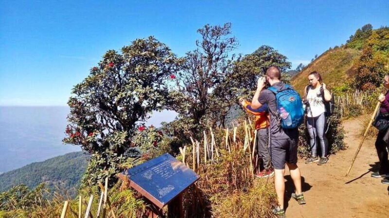Chiang Mai:Doi Inthanon National Park & Hike at Kew Mae Pan - Key Points