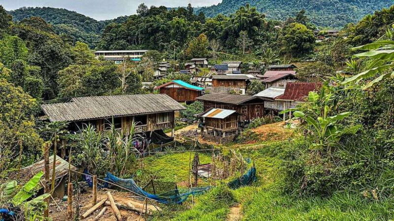 Chiang Mai:Doi Inthanon National Park & Hike at Kew Mae Pan - Who Will Enjoy This Tour?