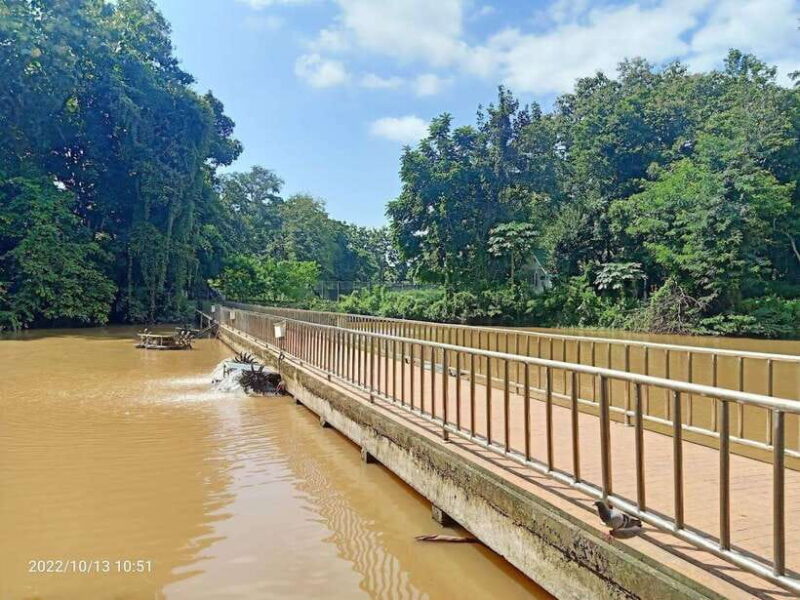 Chiang Mai:Wat Phra That Doi Suthep & Wat Umong Evening Tour - FAQs