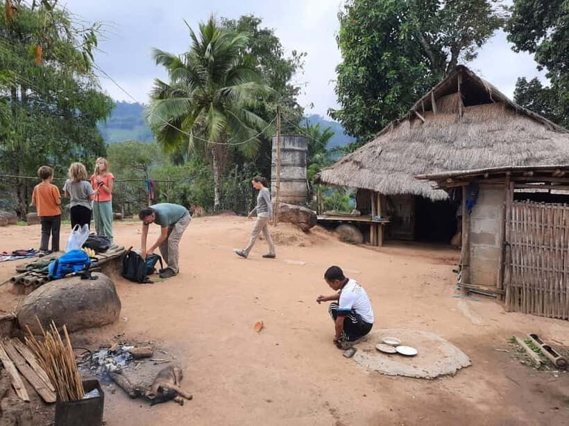 Chiang Rai 1 Day Jungle Trek with Bamboo Lunch & Local Guide - A Practical Deep Dive Into the Jungle Trek Experience