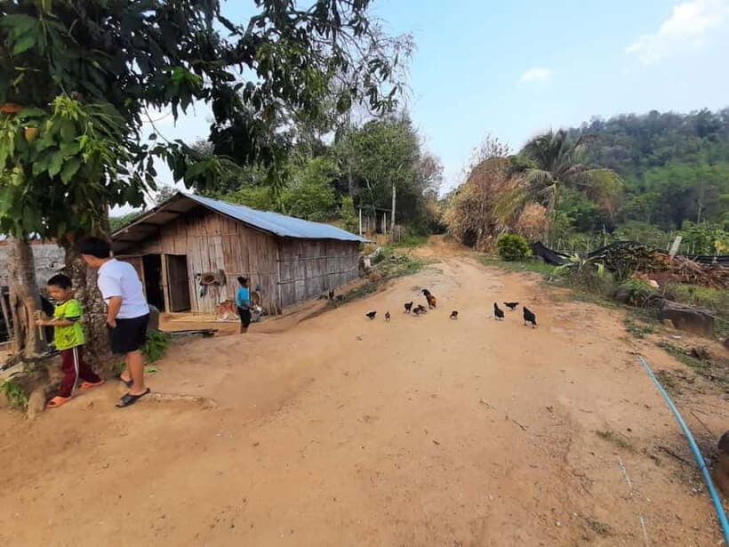 Chiang Rai 1 Day Jungle Trek with Bamboo Lunch & Local Guide - FAQ