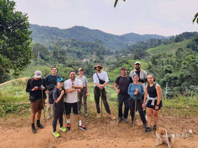 Chiang Rai: 2-Day Jungle Trek only walk with Waterfall - What Makes This Tour Stand Out?