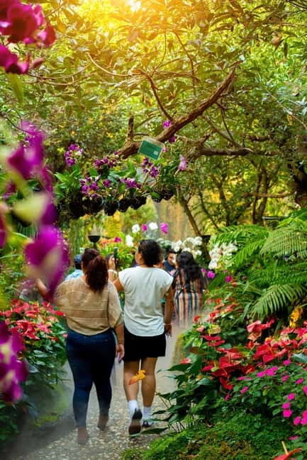 Chiang Rai: 3 Temples, Long Neck Village & Lalitta Café - The Value of the Experience