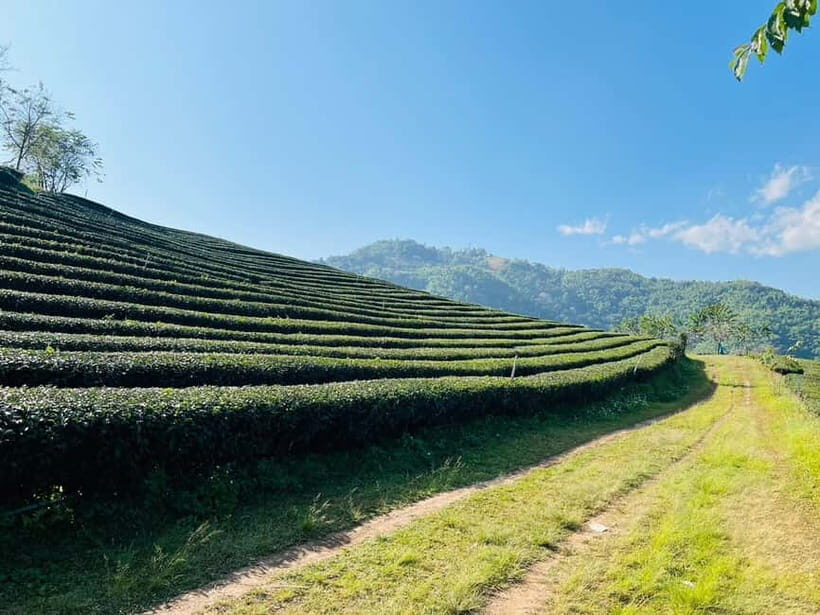 Chiang Rai: 7 Must-See Spots Tickets & Lunch Included - Frequently Asked Questions