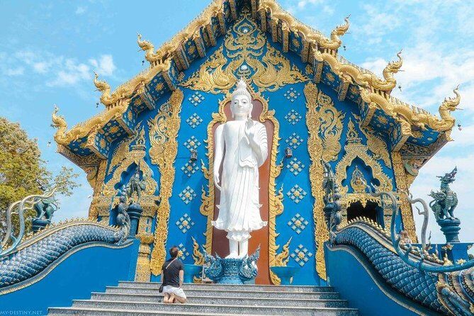 Chiang Rai food & night market walking tour with local host - Who Should Consider This Tour?