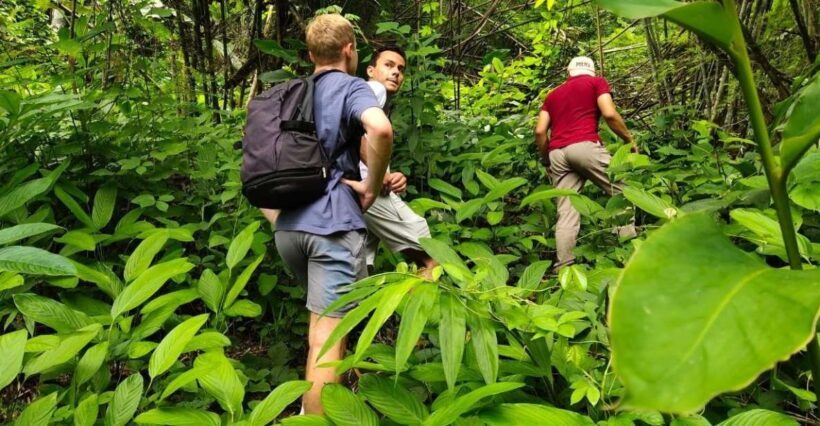 Chiang Rai: Jungle Adventure-Group Trekking & Bamboo Cooking - Exploring Chiang Rai: Jungle Adventure – Group Trekking & Bamboo Cooking