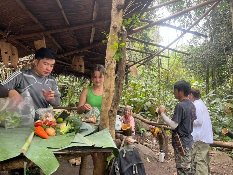 Chiang Rai: Jungle Adventure-Group Trekking & Bamboo Cooking - The Itinerary: A Day in the Jungle