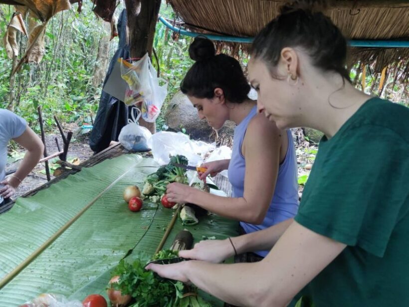 Chiang Rai: Jungle Adventure-Group Trekking & Bamboo Cooking - The Experience: Highlights and Authentic Touches