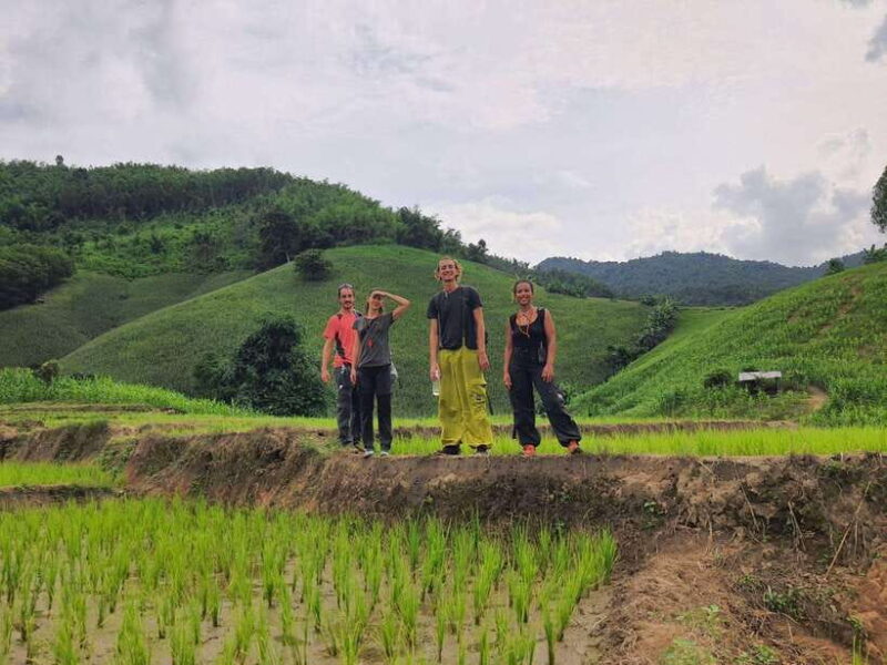 Chiang Rai Jungle Trek & Bamboo Tube Cooking Adventure - Trekking Through the Countryside