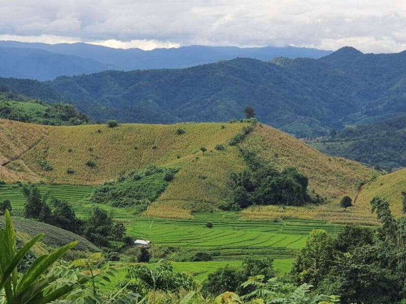 Chiang Rai Jungle Trek & Bamboo Tube Cooking Adventure - Practicalities: What’s Included and What to Prepare