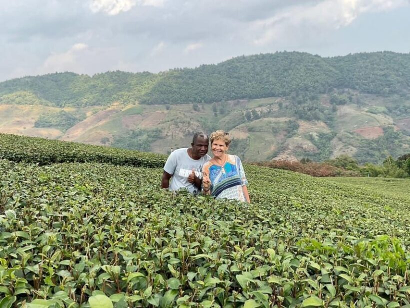 Chiang Rai: Mountains Discovery Doi Mae Salong & Doi Tung - Key Points