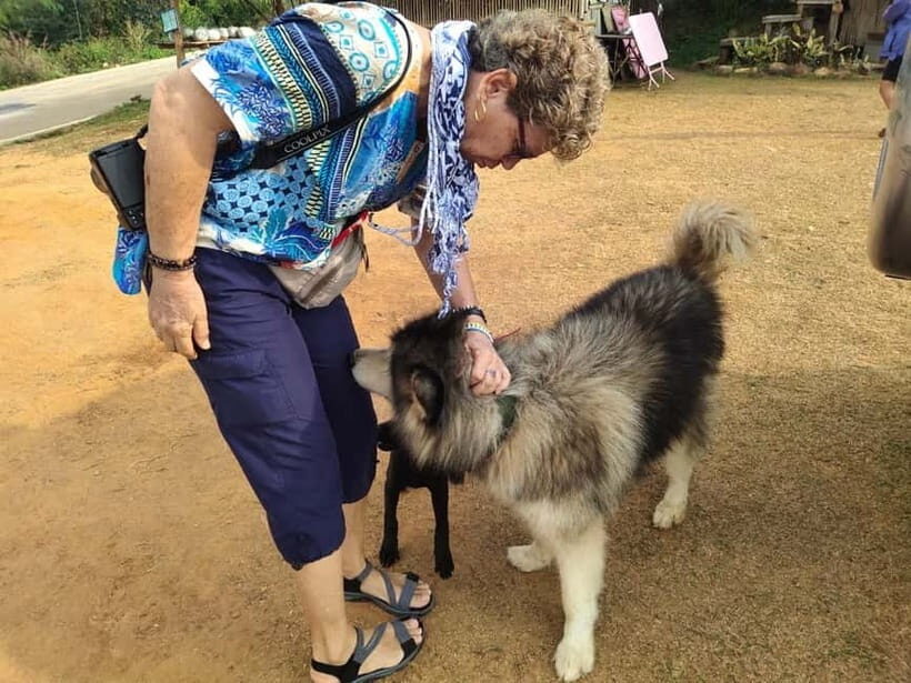 Chiang Rai: Mountains Discovery Doi Mae Salong & Doi Tung - FAQ