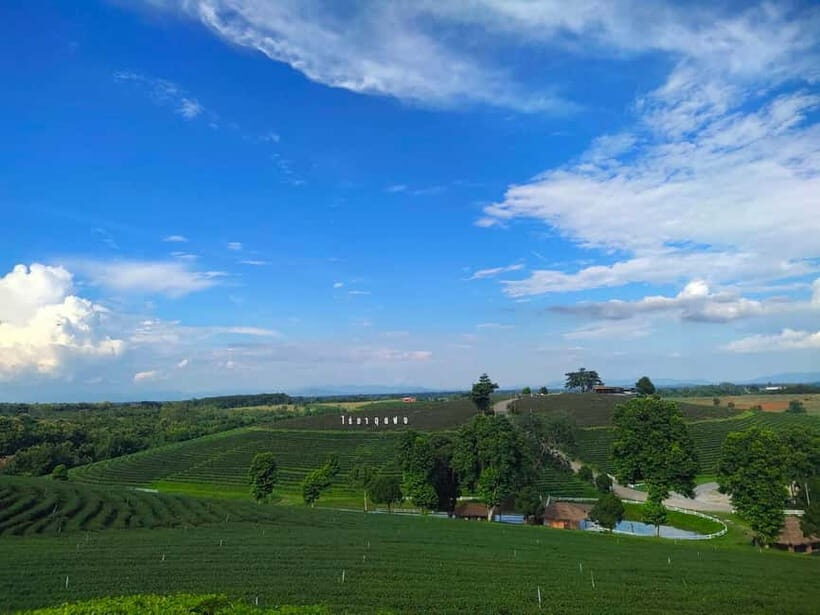Chiang Rai: Northern Thailand Tour with Golden Triangle - Scenic Countryside Drive