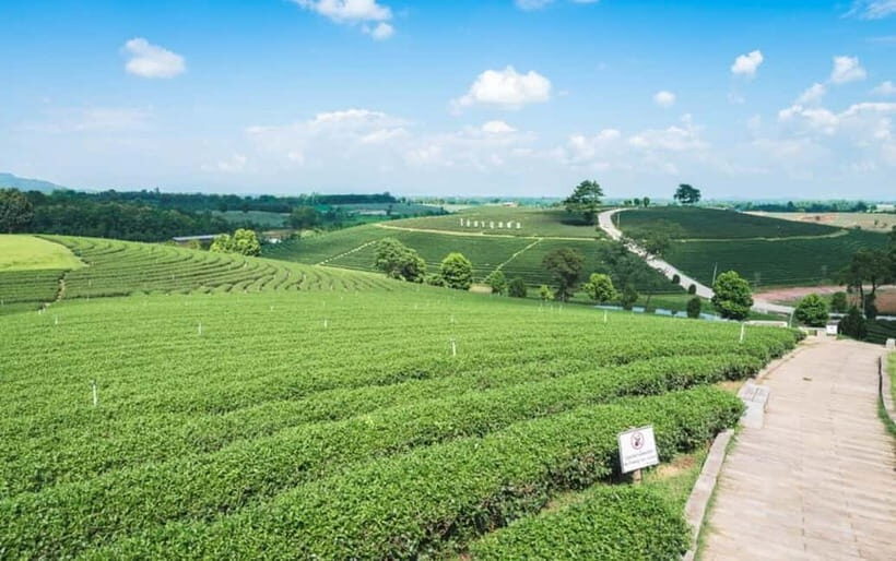 Chiang Rai: Private Customized Tour3 Places of Your Choice - The Experience: A Closer Look at Chiang Rai’s Private Tour