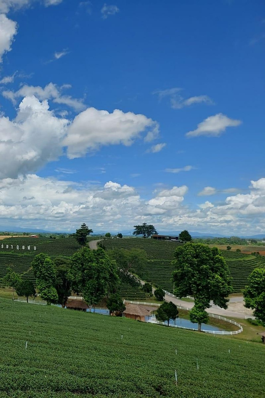 Chiang Rai: Temple Treasures & Popular Sightseeings (Buffet) - How the Tour Adds Value