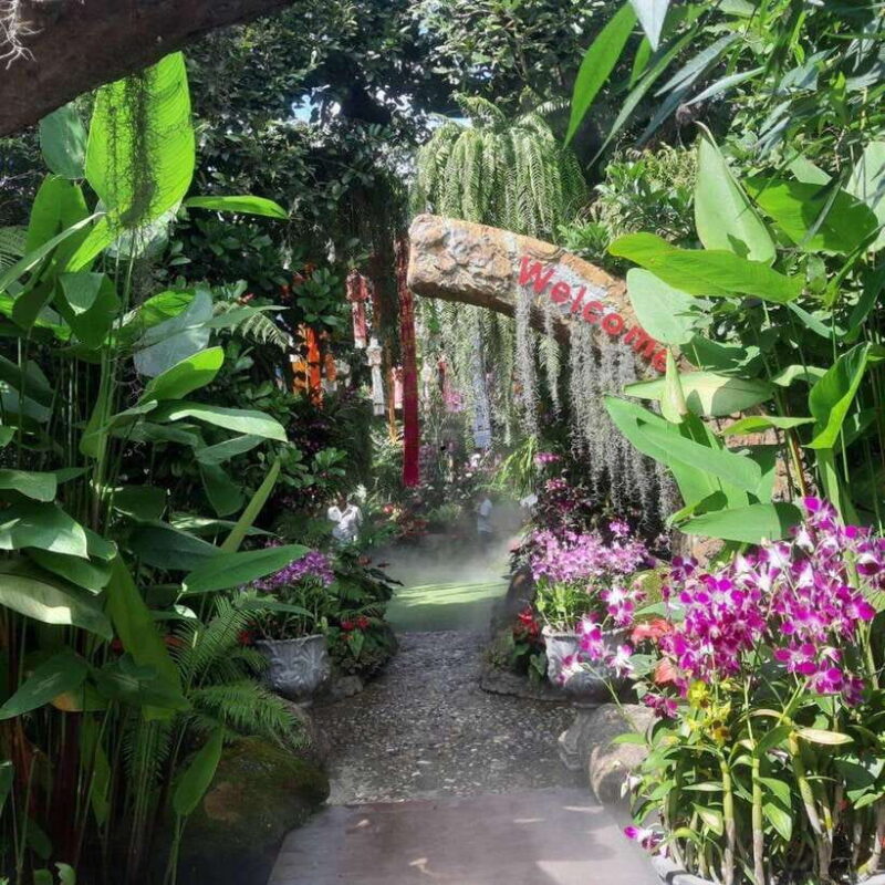 Chiang Rai: Temples Trip with Sang Kaew and Lalitta Cafe - What’s Included and What’s Not