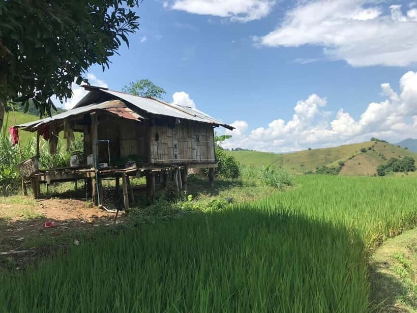 Chiang Rai Trek: 4 Hilltribes Villages & Waterfall Only Walk - Key Points