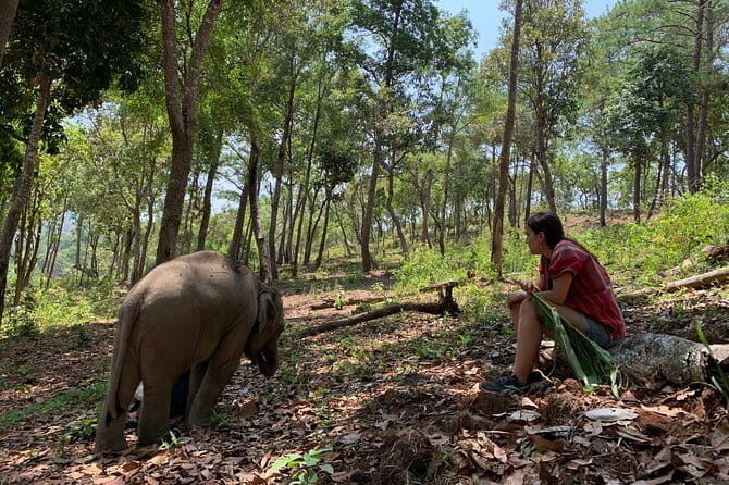 Chiang Rai White, Blue, Red Temples and Long Neck 1 Day Tour - Who Is This Tour Best Suited For?