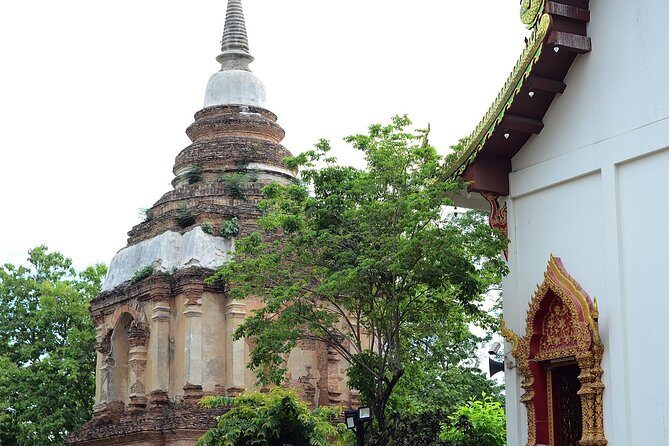 Chiangmai city tours - Value for Money: Is It Worth It?